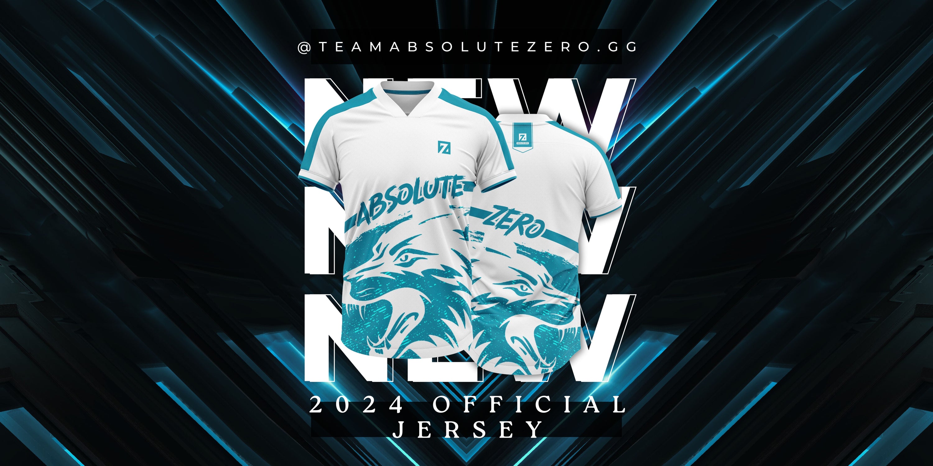 Team Absolute Zero | Teams, Creators, and Premium Gaming Gear
